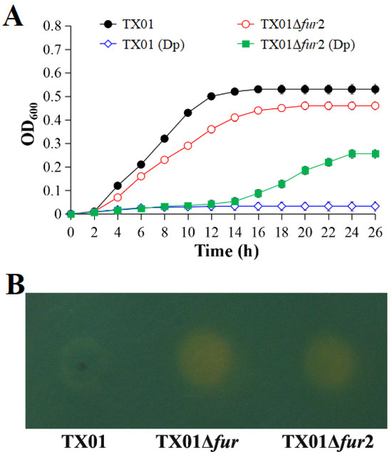 The Mutation of the DNA-Binding Domain of Fur Protein Enhances the ...