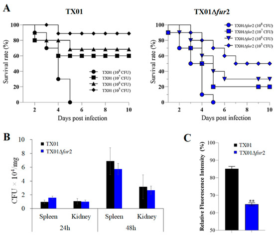 The Mutation of the DNA-Binding Domain of Fur Protein Enhances the ...