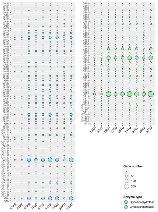 Metagenomic Insights into the Taxonomic and Functional Features of ...