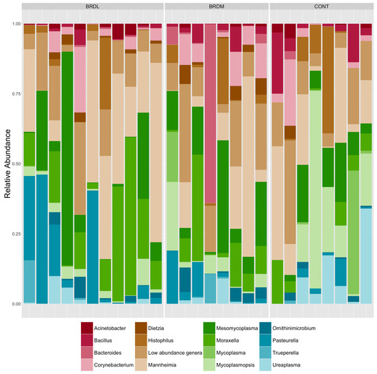 Nasopharyngeal Bacterial Prevalence and Microbial Diversity at First Treatment for Bovine ...