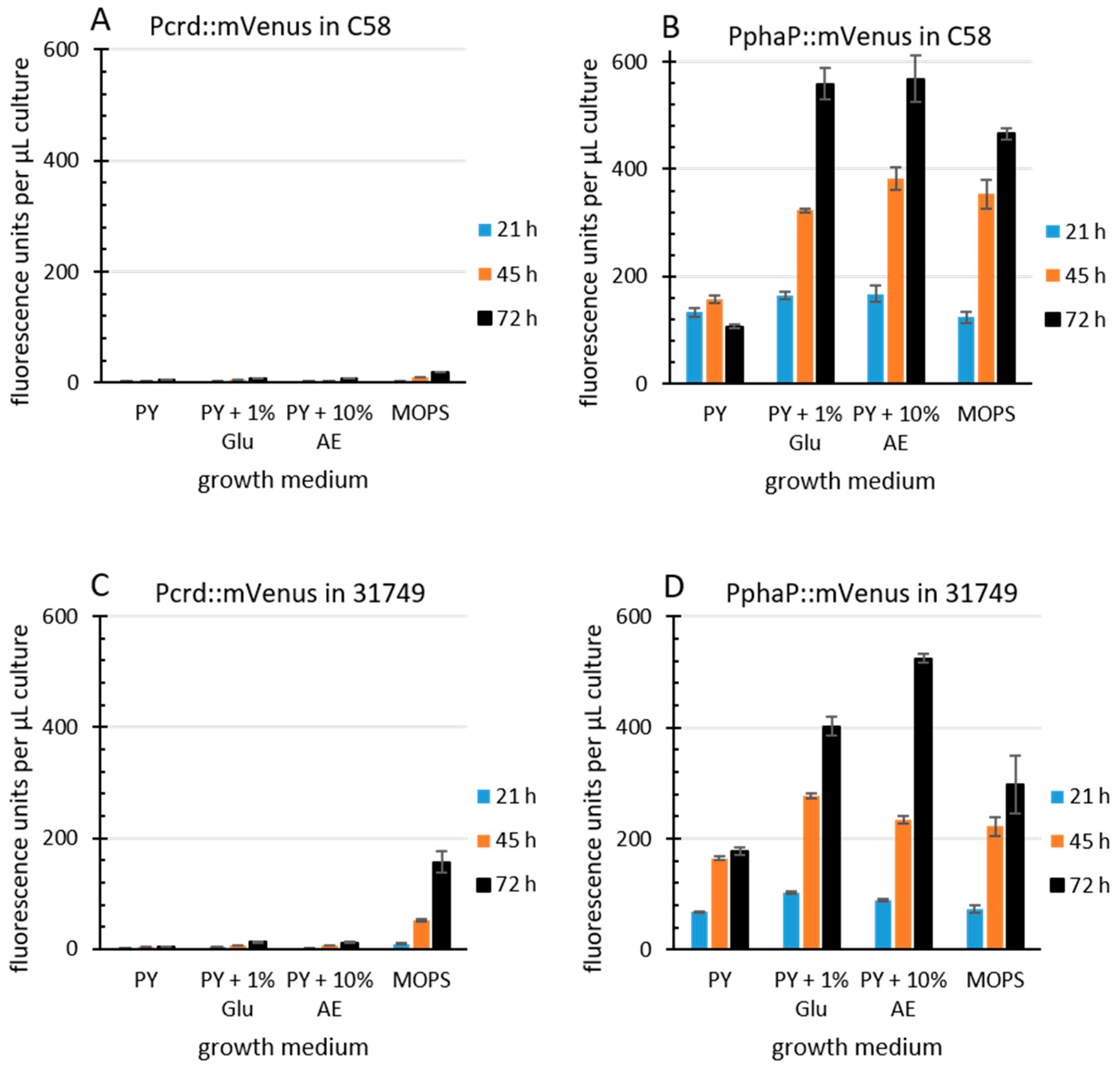Genetic Engineering of Agrobacterium Increases Curdlan Production ...