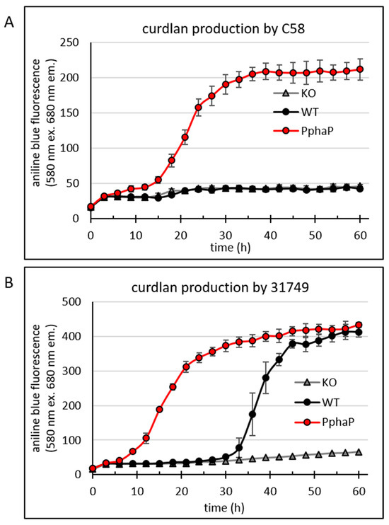 Genetic Engineering of Agrobacterium Increases Curdlan Production ...