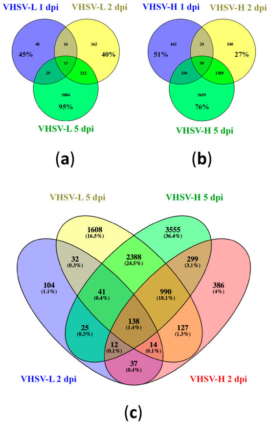 Microorganisms | Free Full-Text | Transcriptome Profiling of ...