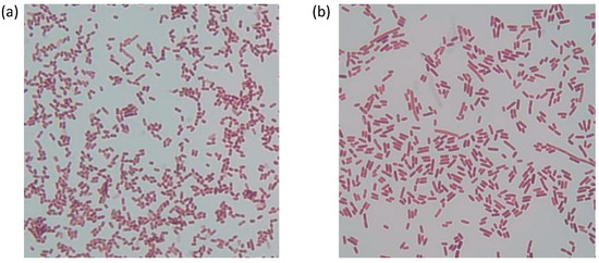 Phenotypic Characterization and Draft Genome Sequence Analyses of Two ...