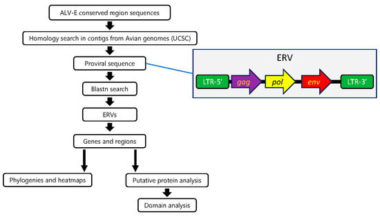 Comparison of Endogenous Alpharetroviruses (ALV-like) across Galliform ...