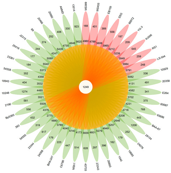 Comparative Genome Analyses Provide Insight into the Antimicrobial ...