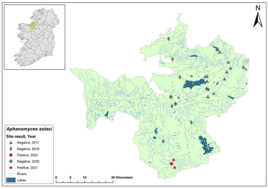 The Crayfish Plague Pathogen Aphanomyces astaci in Ireland