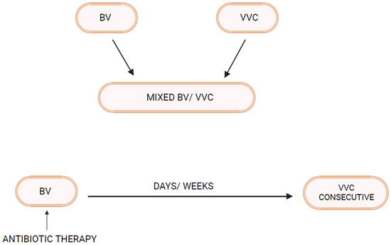 Bacterial Vaginosis and Vulvovaginal Candidiasis Pathophysiologic ...
