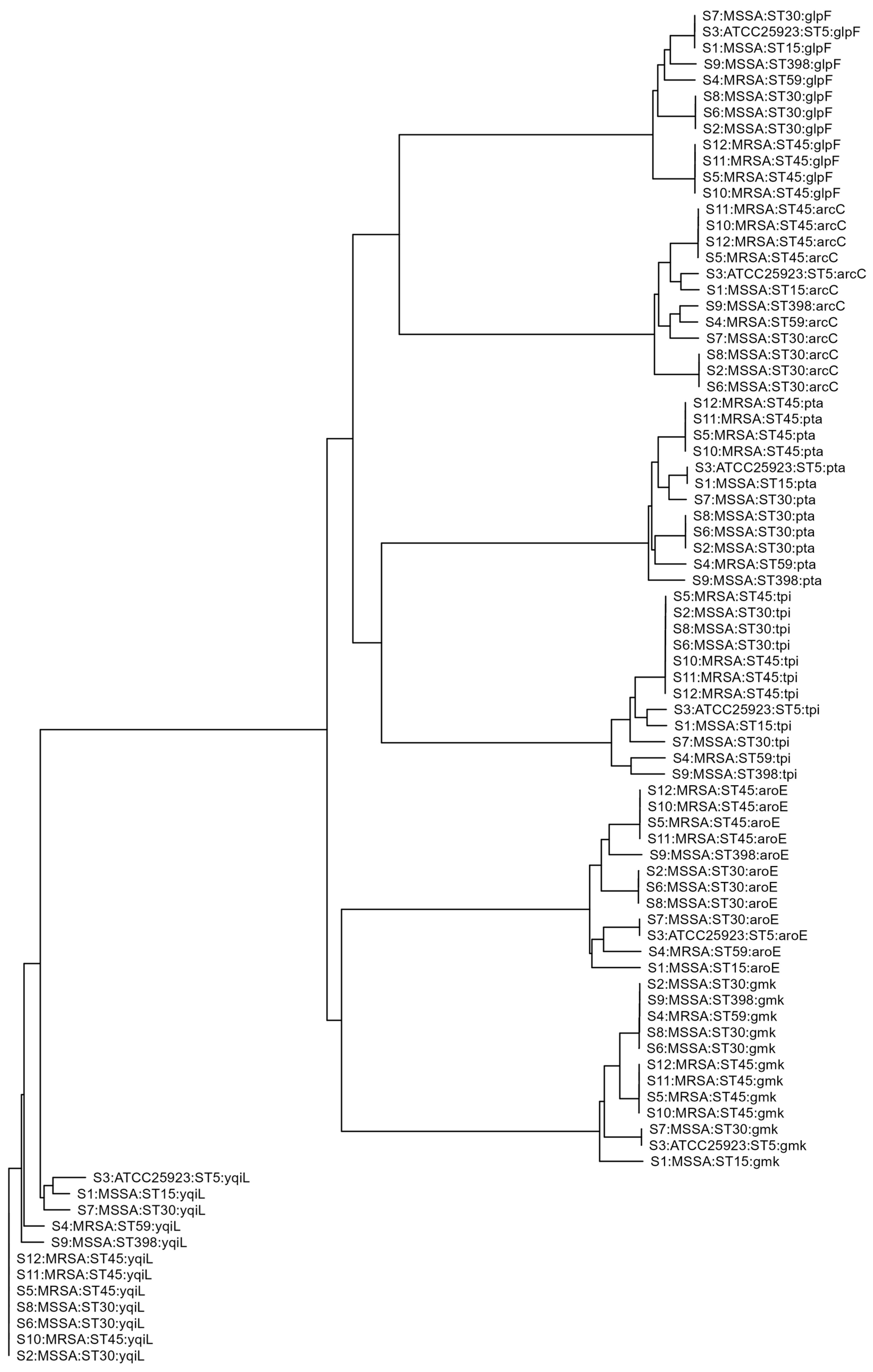 The Prevalence, Epidemiological, and Molecular Characterization of Methicillin-Resistant ...
