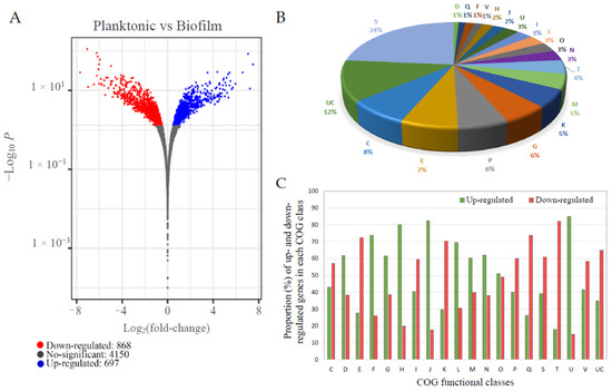Genetic Insights into Biofilm Formation by a Pathogenic Strain of ...