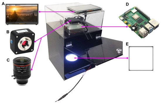 U2-Net and ResNet50-Based Automatic Pipeline for Bacterial Colony Counting