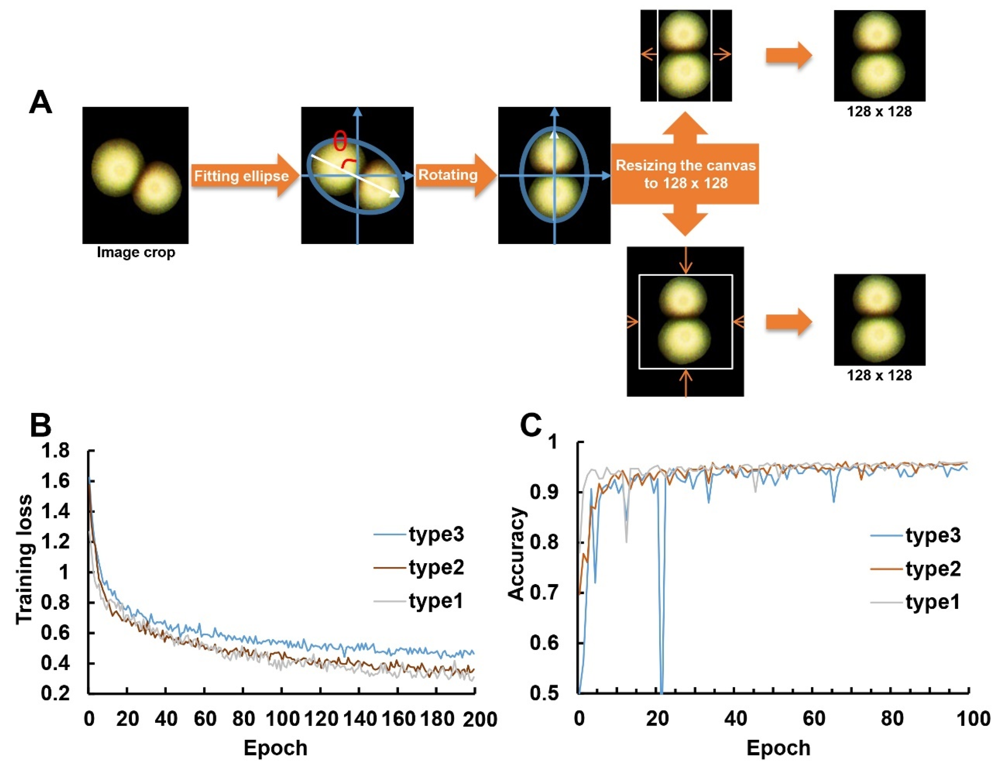 U2-Net and ResNet50-Based Automatic Pipeline for Bacterial Colony Counting