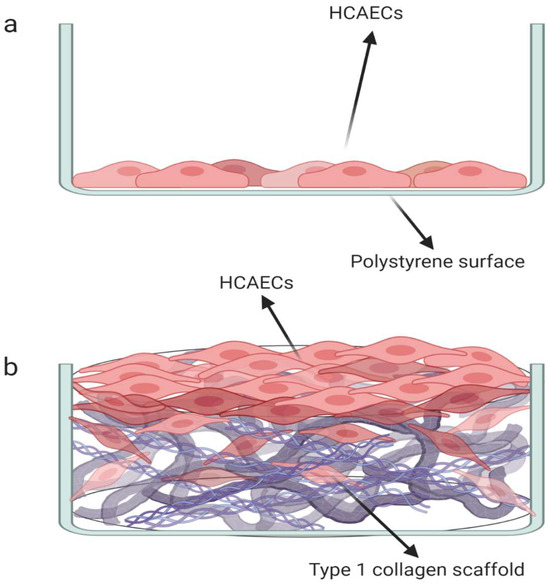 Human Coronary Artery Endothelial Cell Response to Porphyromonas ...