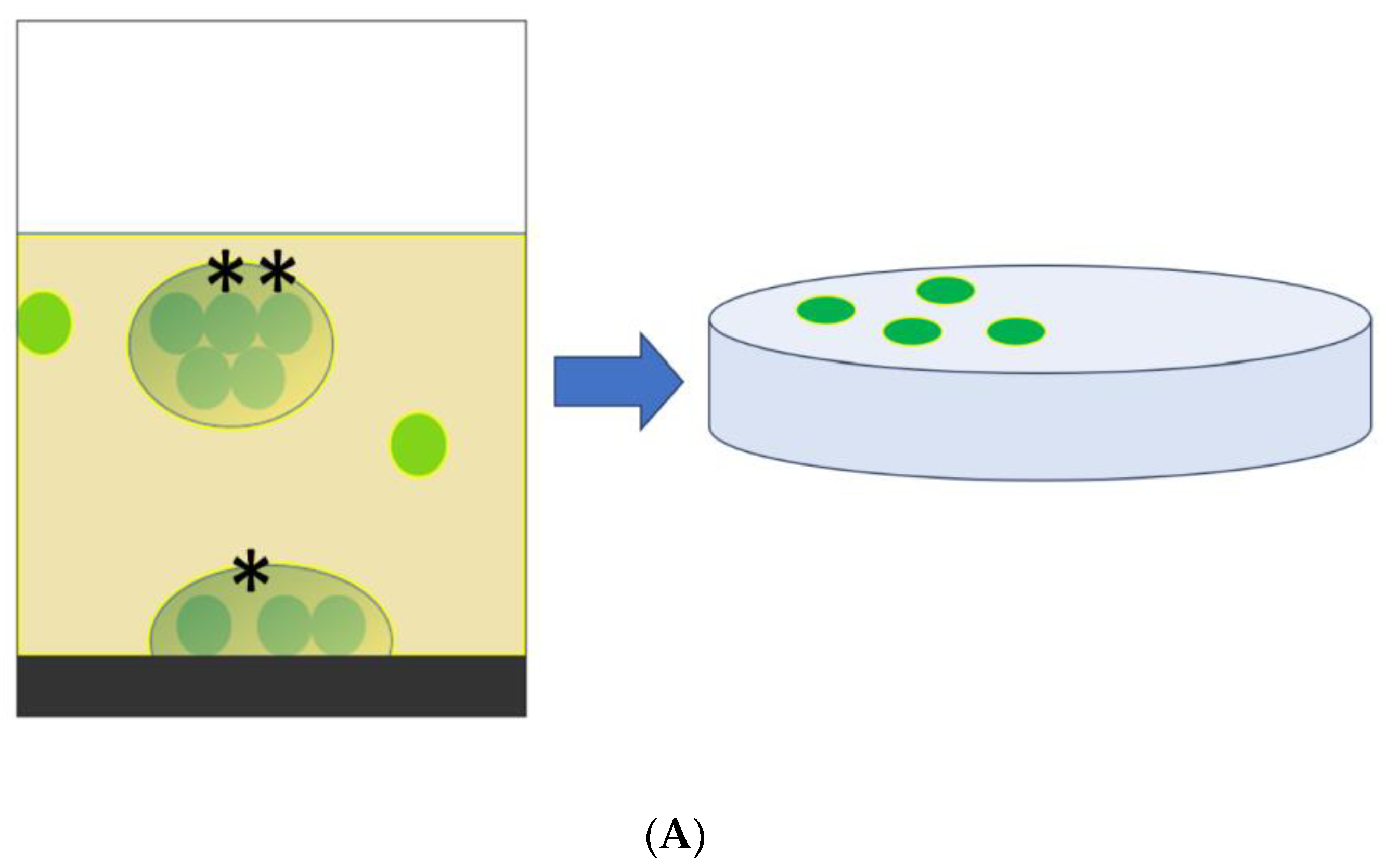 Bacteria Living in Biofilms in Fluids: Could Chemical Antibiofilm ...