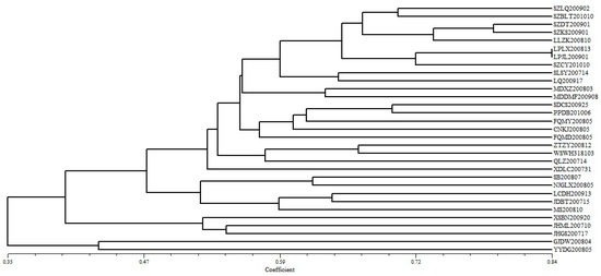 Genetic Diversity and Virulence Variation of Metarhizium rileyi from ...