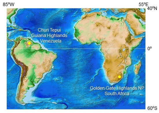 Bacteriomic Profiles of Rock-Dwelling Lichens from the Venezuelan ...