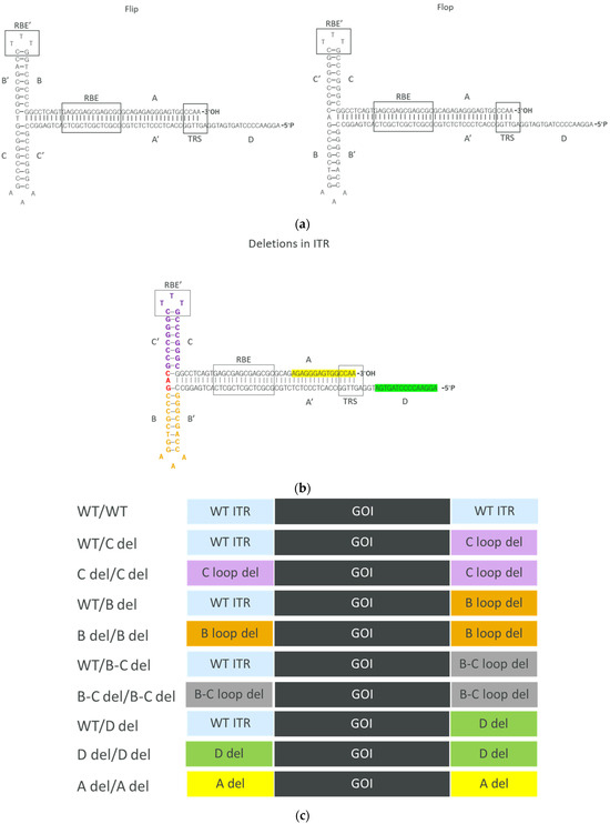 A Comprehensive Study of the Effects by Sequence Truncation within ...