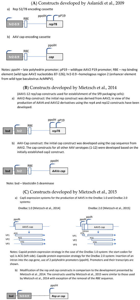Development of Stable Packaging and Producer Cell Lines for the ...