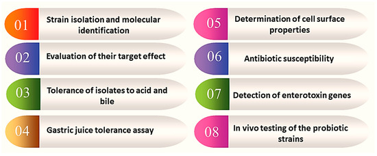 Microorganisms | Free Full-Text | Next-Generation Probiotics as Novel ...