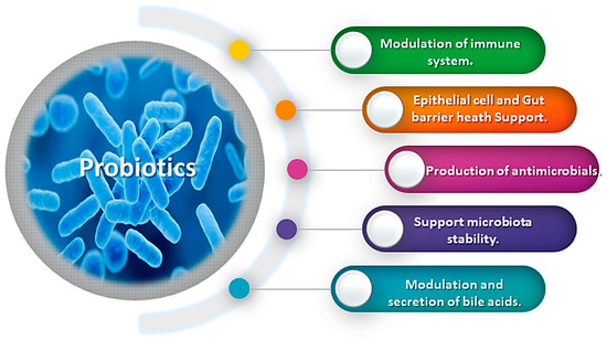Next-Generation Probiotics as Novel Therapeutics for Improving Human ...