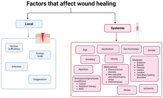 Plant-Based Films and Hydrogels for Wound Healing
