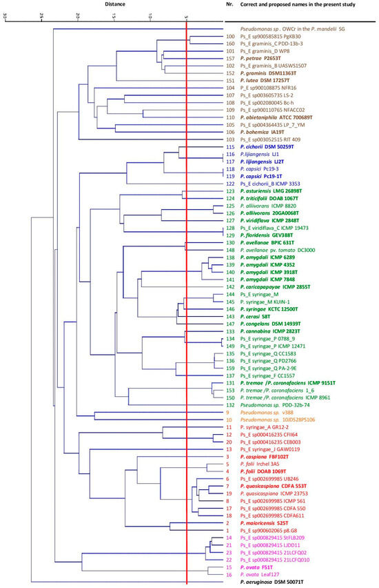 Genome-Based Taxonomy of Species in the Pseudomonas syringae and Pseudomonas lutea Phylogenetic ...