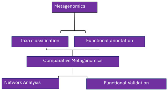 Exploring Cereal Metagenomics: Unravelling Microbial Communities for ...