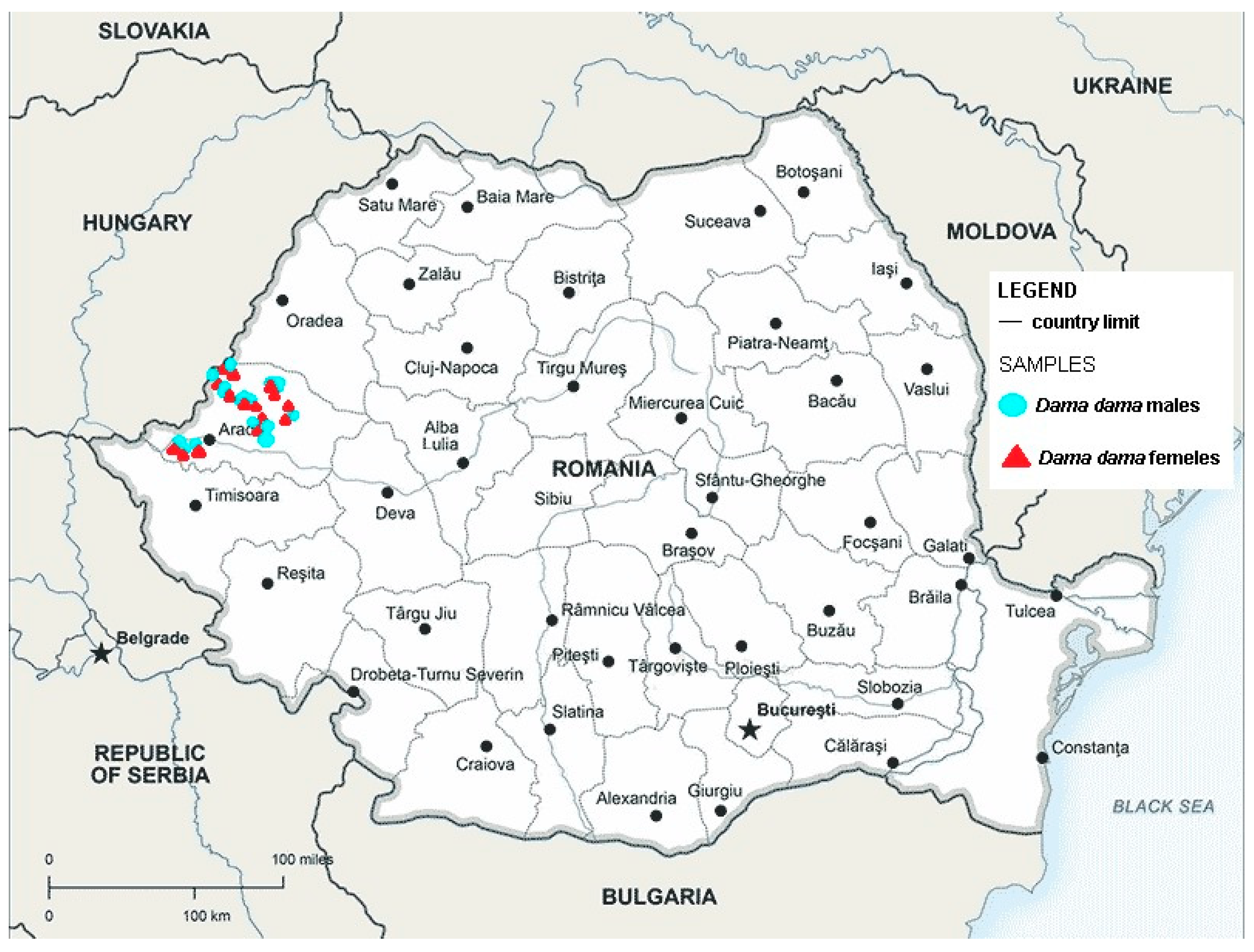 Identification and Molecular Characterization of Giant Liver Fluke ...