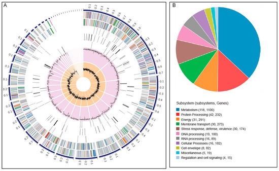 Mining Biosynthetic Gene Clusters of Pseudomonas vancouverensis ...