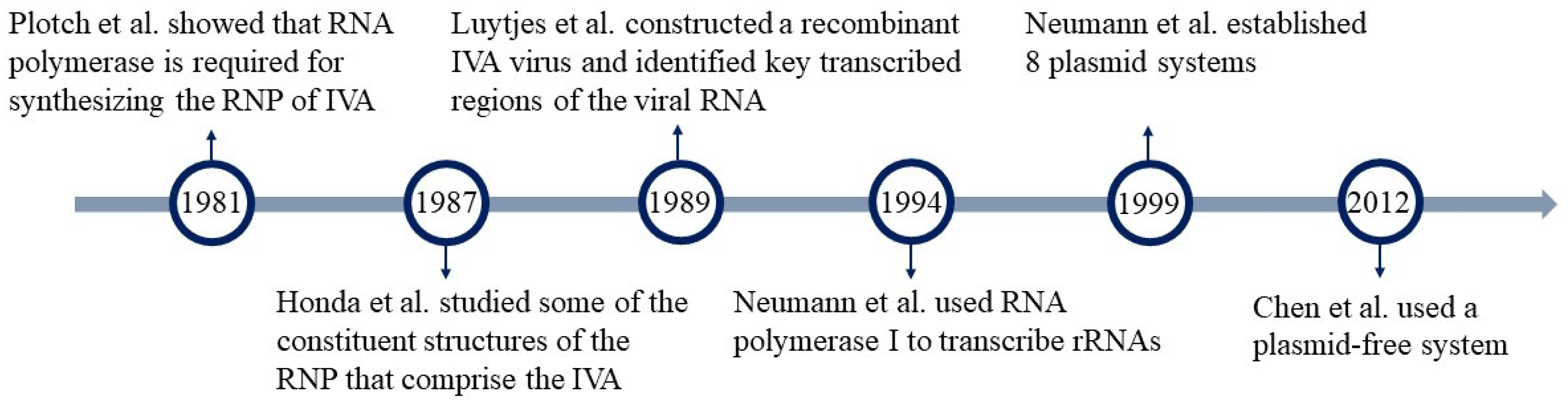 Developments in Negative-Strand RNA Virus Reverse Genetics
