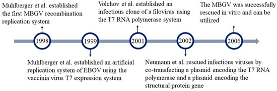 Developments in Negative-Strand RNA Virus Reverse Genetics