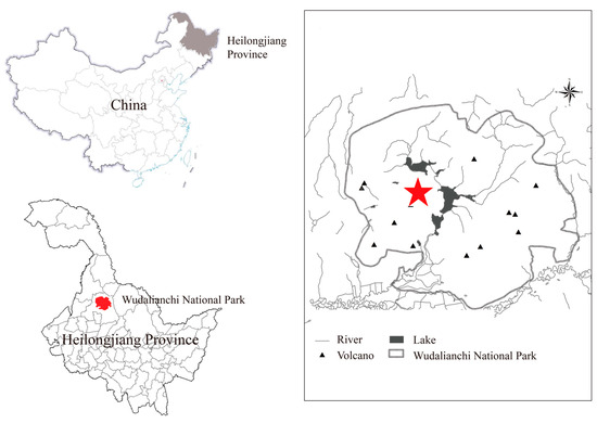 Comparison of Microbial Diversity of Two Typical Volcanic Soils in ...