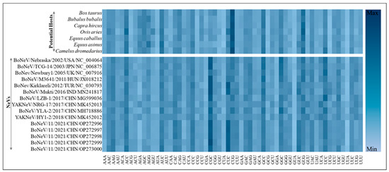 Microorganisms | Free Full-Text | Comprehensive Genomics Investigation ...