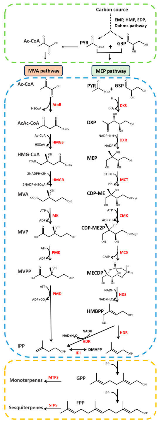 Biosynthesis Progress of High-Energy-Density Liquid Fuels Derived from ...