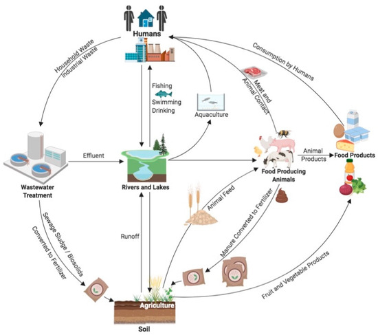 Microorganisms | Free Full-Text | Analysis of Antimicrobial Resistance ...