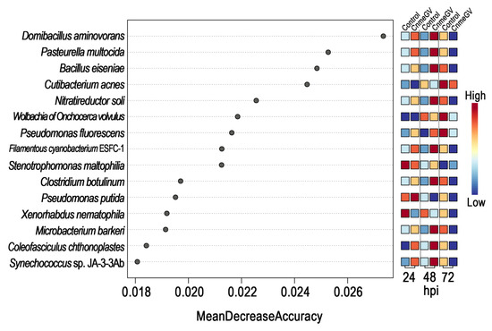 Metagenomic Analyses Reveal Gut Microbial Profiles of Cnaphalocrocis ...