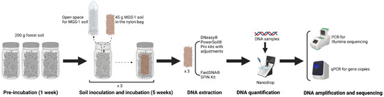 A Comparison of Different Protocols for the Extraction of Microbial DNA ...