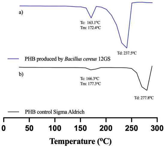 Alkaline-Tolerant Bacillus cereus 12GS: A Promising Polyhydroxybutyrate ...