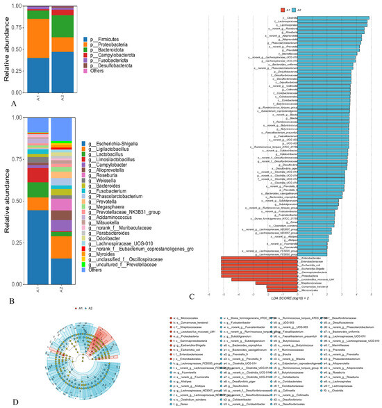 Microbial Community and Metabolome Analysis of the Porcine Intestinal ...