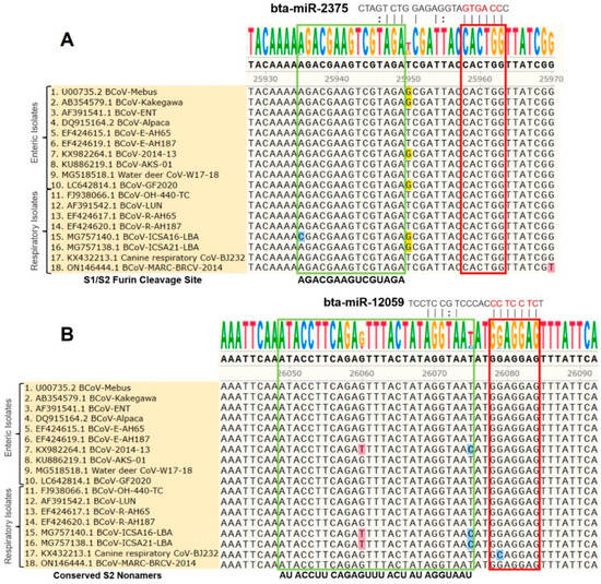 The Potential Roles of Host Cell miRNAs in Fine-Tuning Bovine ...
