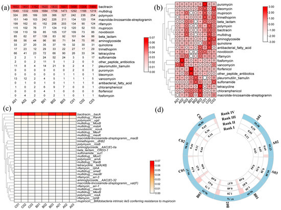 Metagenomic and Culturomics Analysis of Microbial Communities within ...