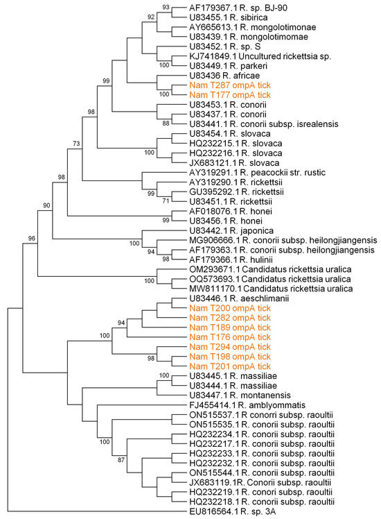 Microorganisms | Free Full-Text | Molecular Detection and ...