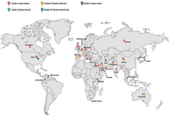 Candida auris Outbreaks: Current Status and Future Perspectives