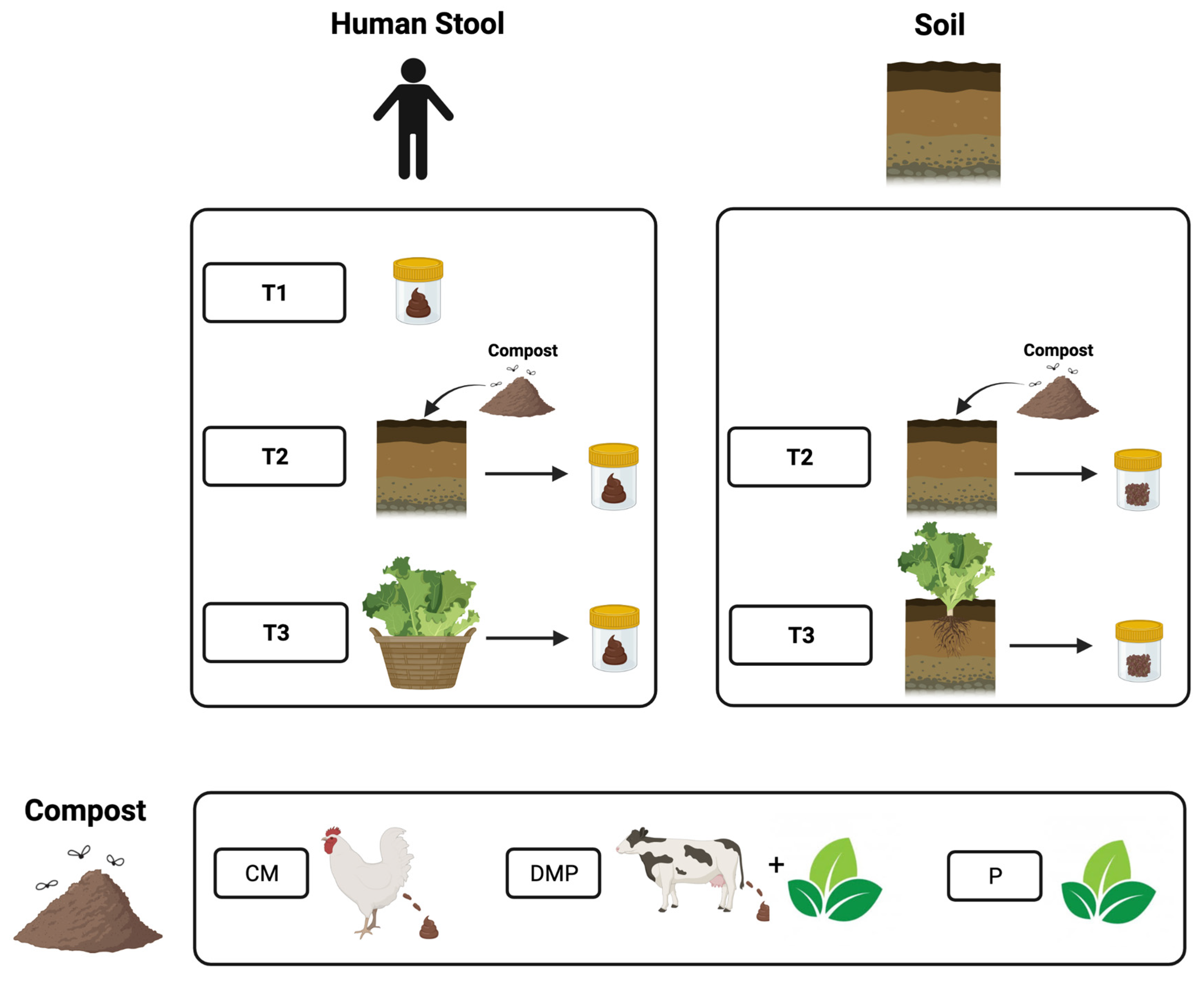 Influence of Compost Amendments on Soil and Human Gastrointestinal ...
