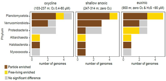 Plasmid-Borne Biosynthetic Gene Clusters within a Permanently ...