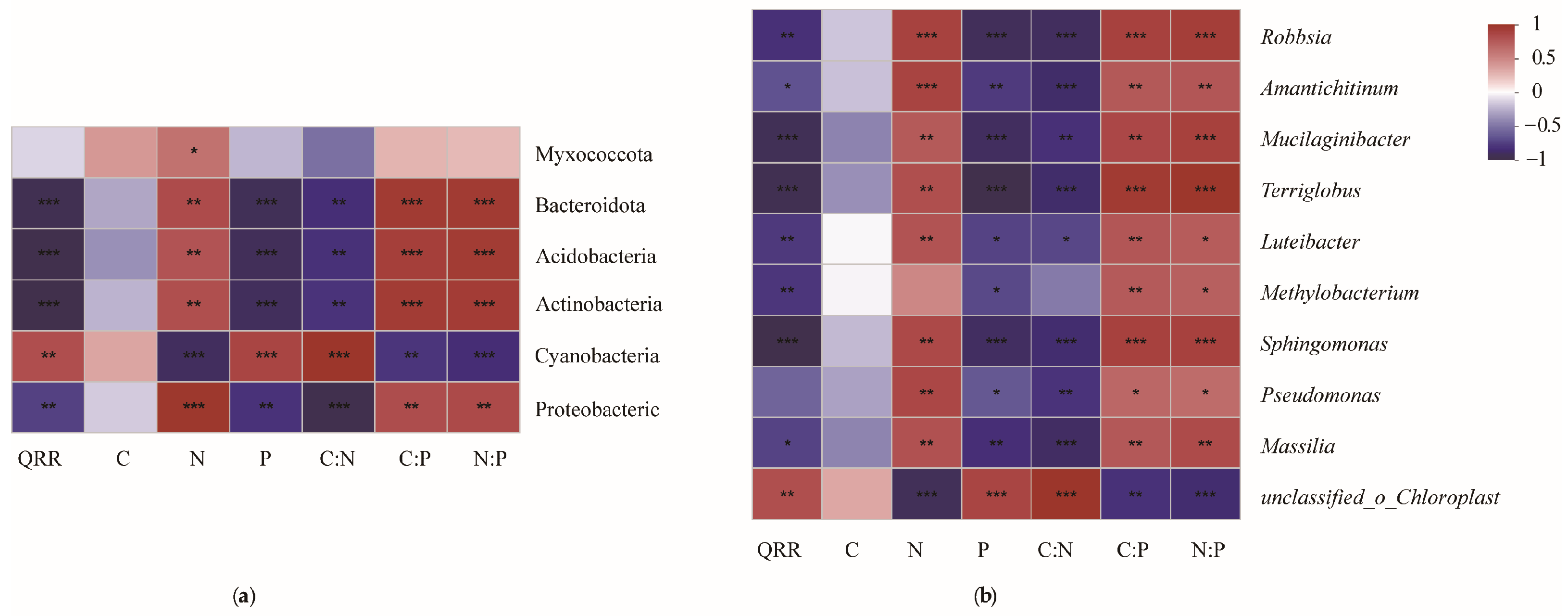 Fast Bacterial Succession Associated with the Decomposition of Larix ...