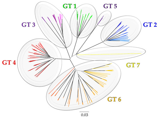 Contemporary Insights into Hepatitis C Virus: A Comprehensive Review