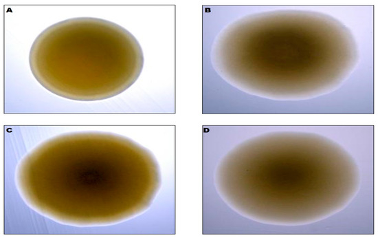 Performance of Halo-Alkali-Tolerant Endophytic Bacteria on Hybrid ...
