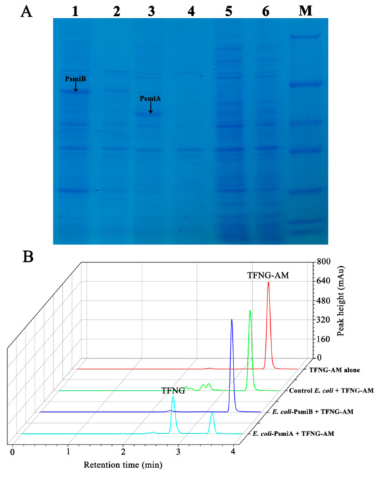 Efficient Biodegradation of the Neonicotinoid Insecticide Flonicamid by ...