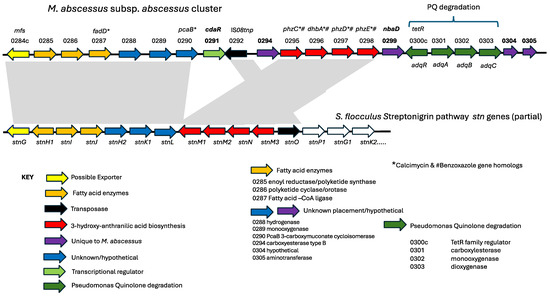 Exploring the Role of a Putative Secondary Metabolite Biosynthesis ...